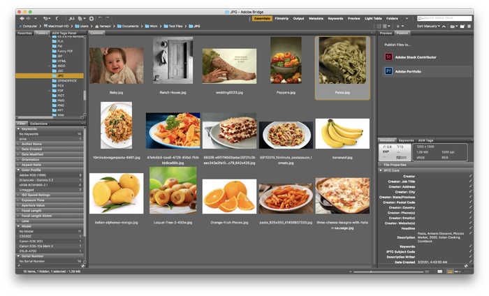6 Best Free Photo Organizing Software for Windows 2025
