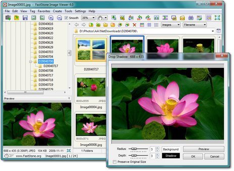 6 Best Free Photo Organizing Software for Windows 2025