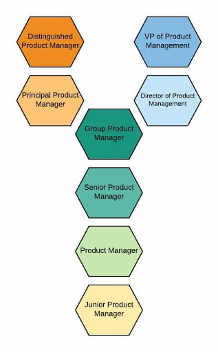 The Career Ladder Of A Product Manager - Navigate It Better - UPLARN