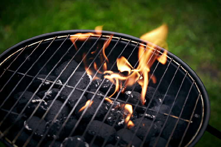 How to Choose the Perfect Grill for You - UPLARN