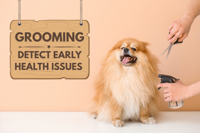 How Grooming Can Help Detect Early Health Issues in Dogs - UPLARN